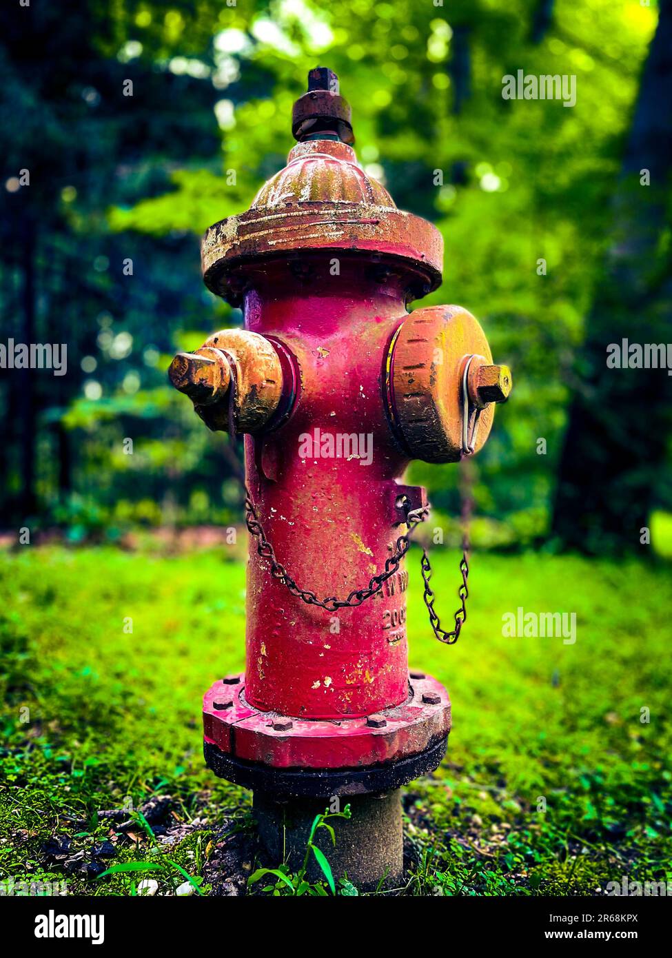 An aged fire hydrant in a grassy landscape, surrounded by tall trees ...