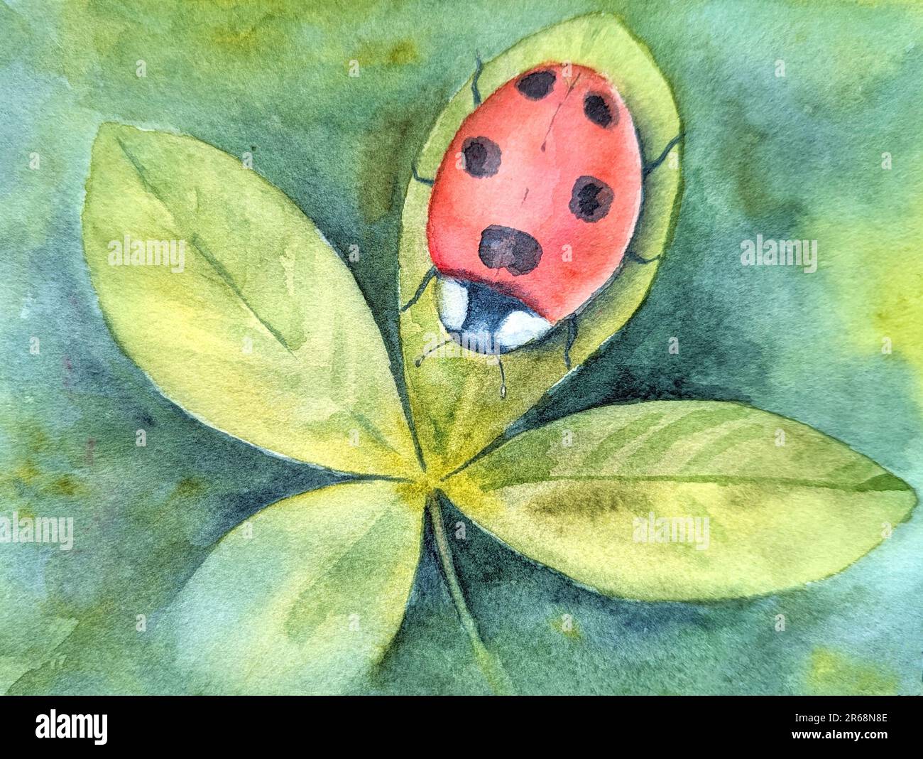 Watercolor botanical summer illustration with colorful ladybug, meadow ...