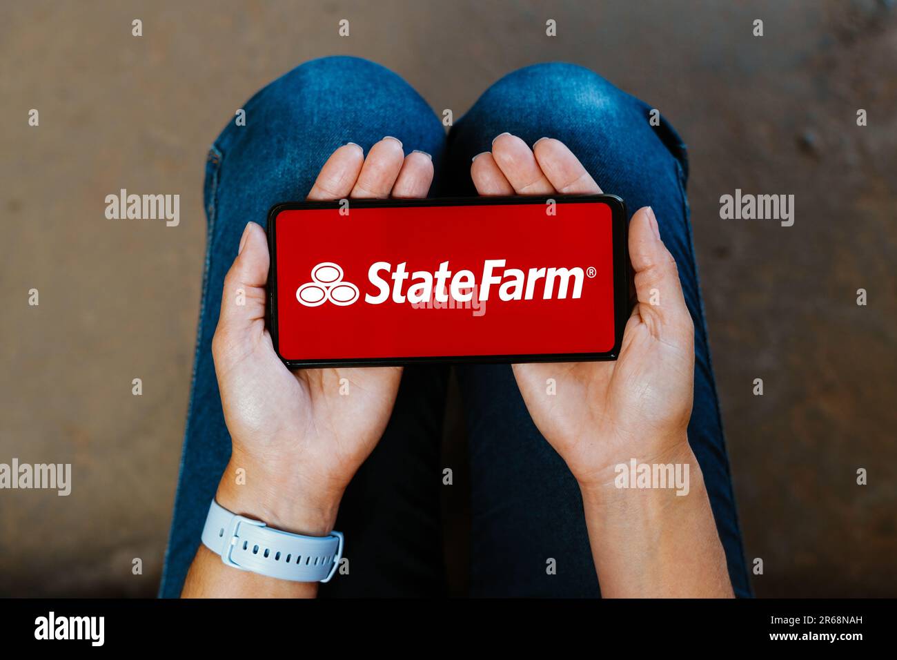 Brazil. 7th June, 2023. In this photo illustration, the State Farm ...