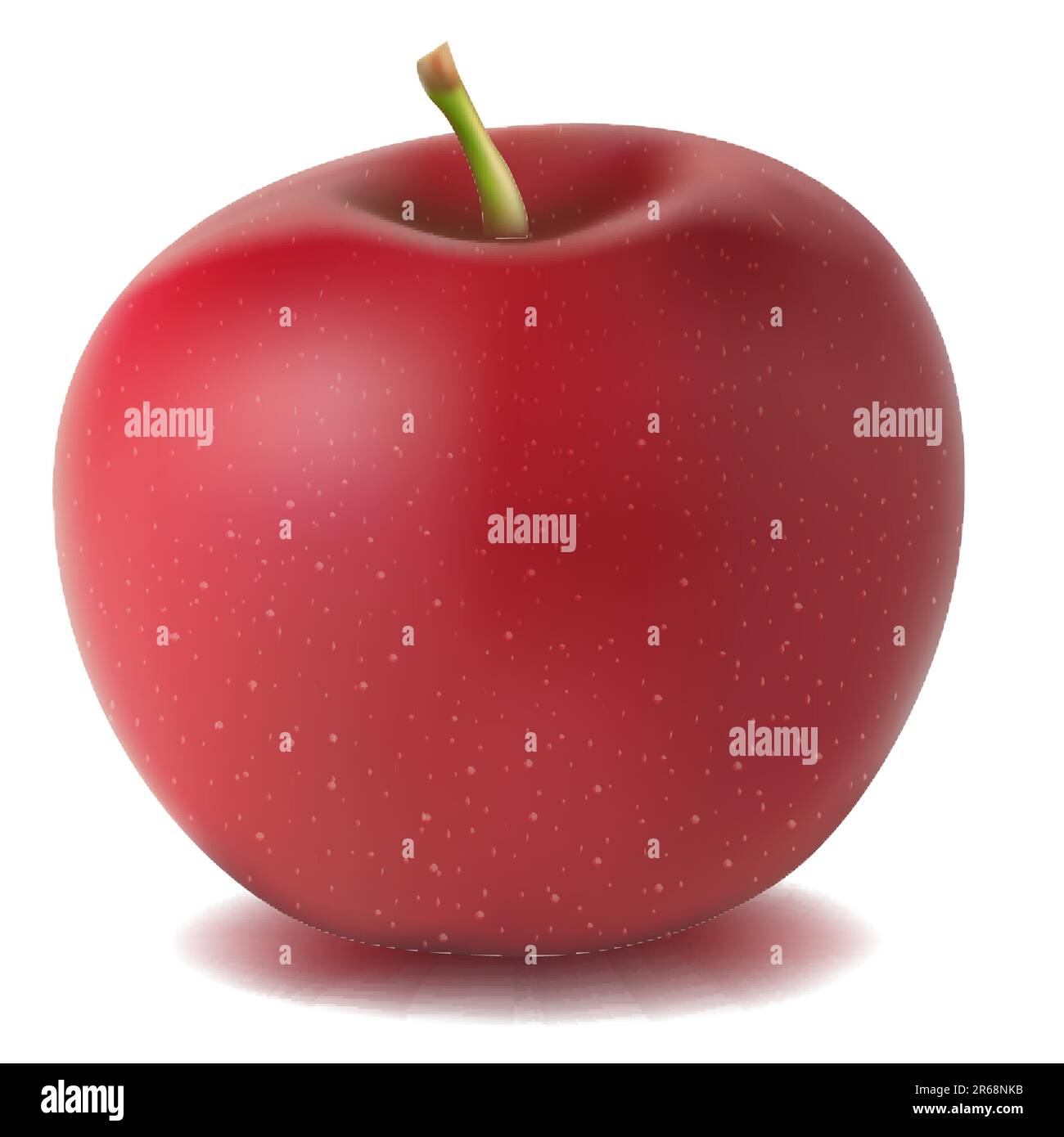 illustration of isolated realistic vector apple Stock Vector Image & Art - Alamy