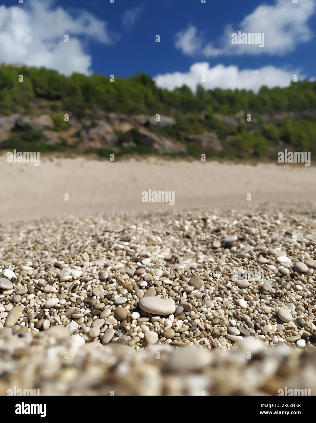 A scenic beach landscape featuring a stretch of sand and an array of ...