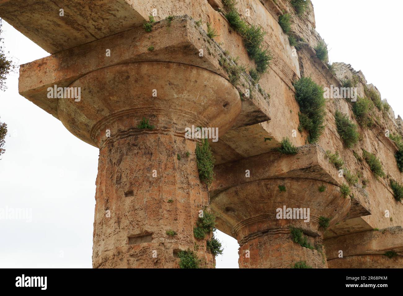 Doric order columns. Greek temples of the ancient Greek city Paestum in ...