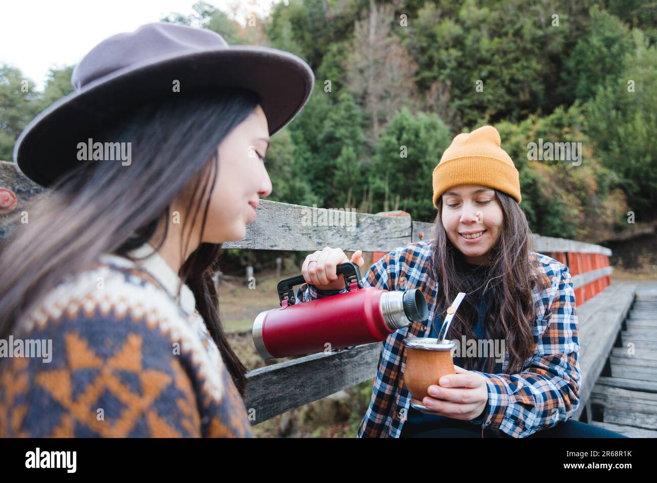 Joyful Young Women Enjoying Yerba Mate Together in the Countryside ...