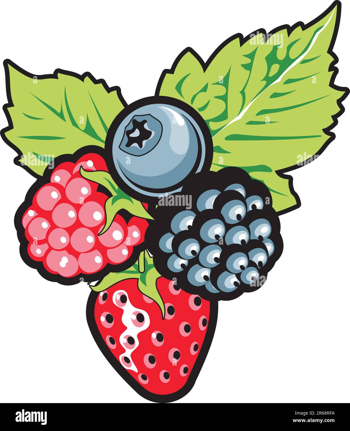 Vector illustration. Berries bouquet Stock Vector Image & Art - Alamy