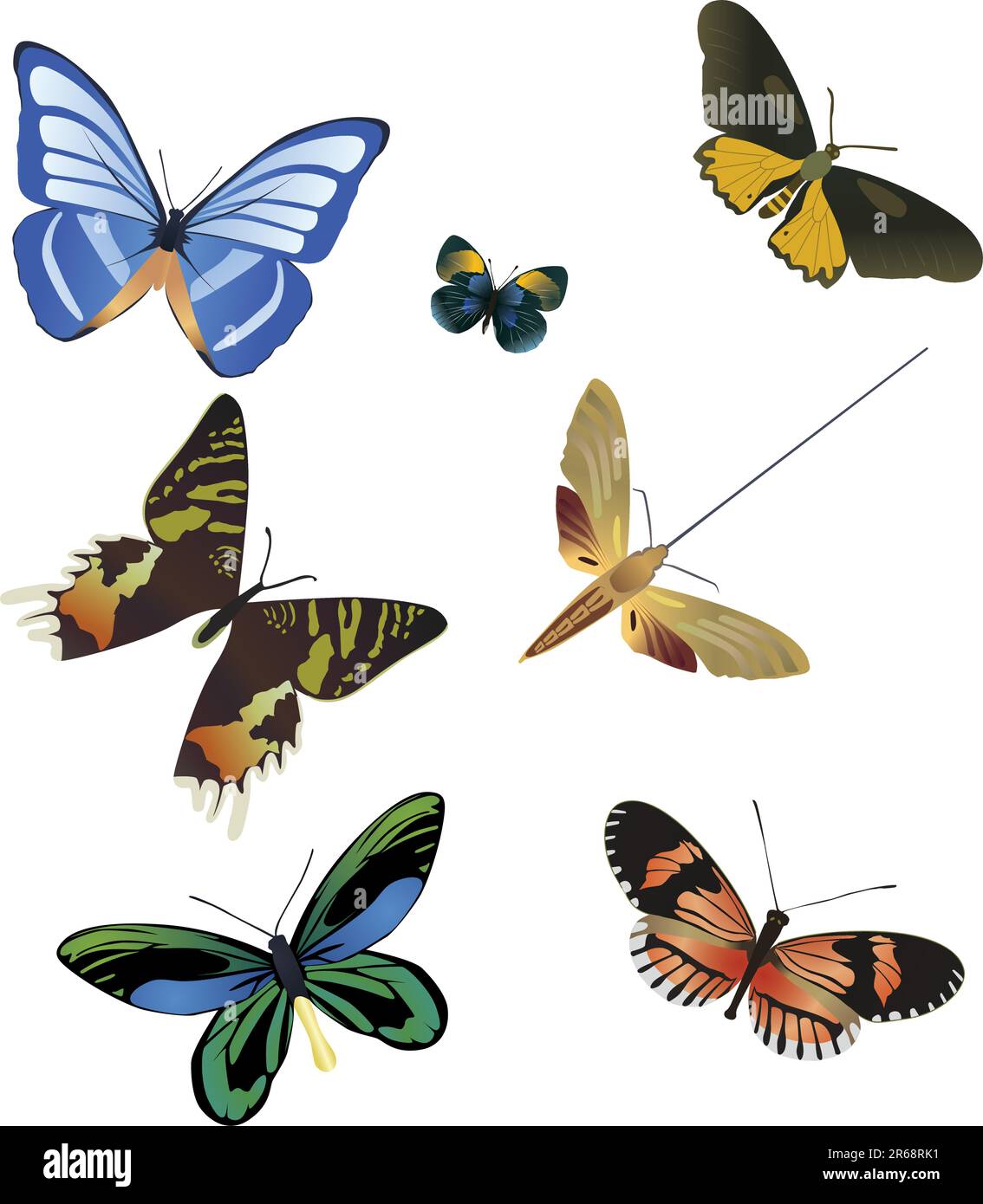 seven multicolored butterflies on a white background Stock Vector Image ...