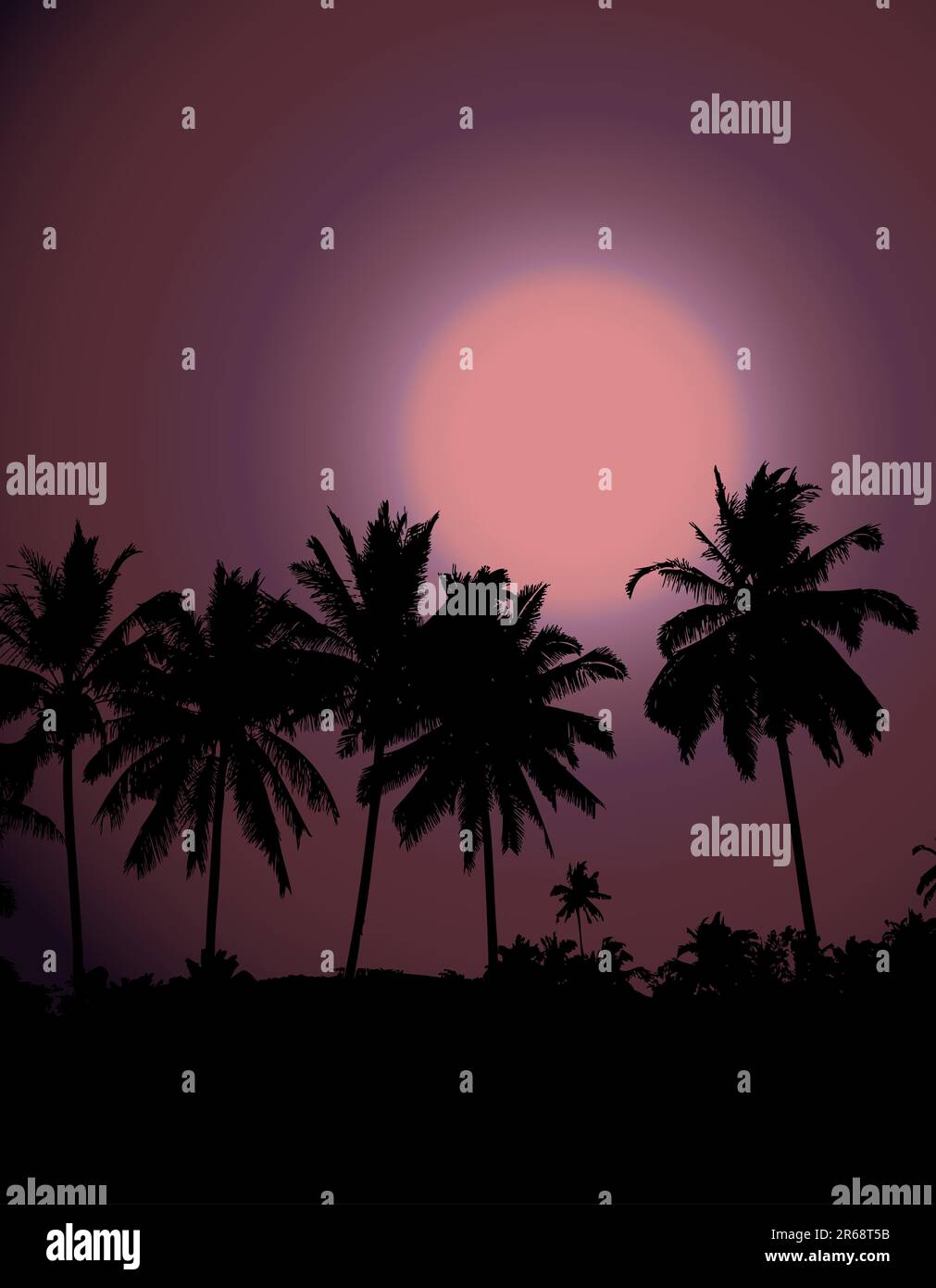 Tropical sunset, palm tree silhouette Stock Vector Image & Art - Alamy