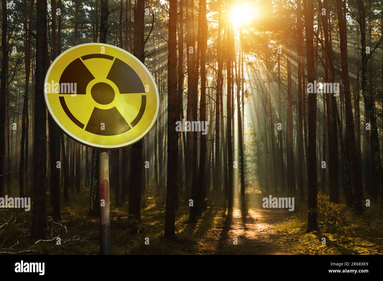 Radioactive pollution. Yellow warning sign with hazard symbol near ...