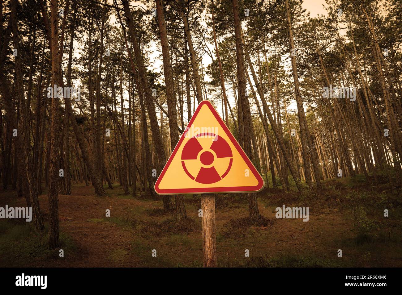 Radioactive pollution. Yellow warning sign with hazard symbol near ...