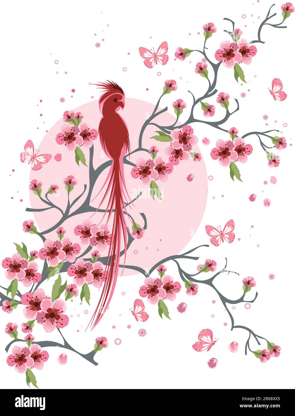 Bird in cherry blossom Stock Vector Images - Alamy