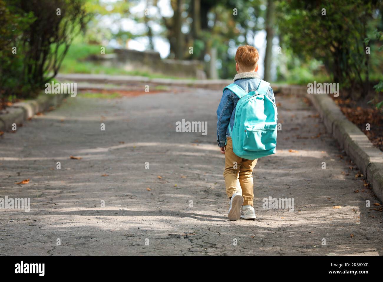Little boy with backpack going to school, back view Stock Photo - Alamy