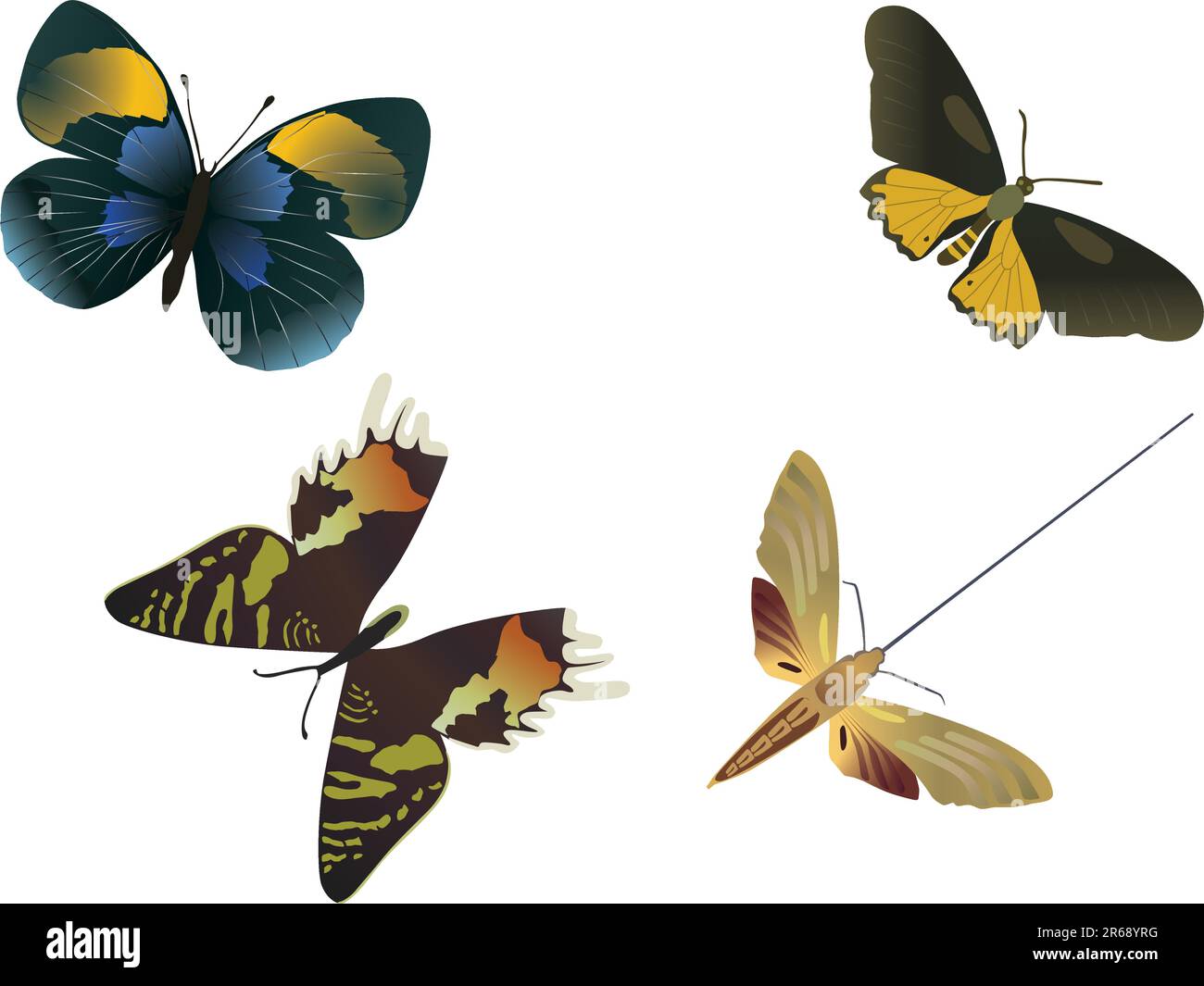 four multicolored butterflies on a white background Stock Vector Image ...