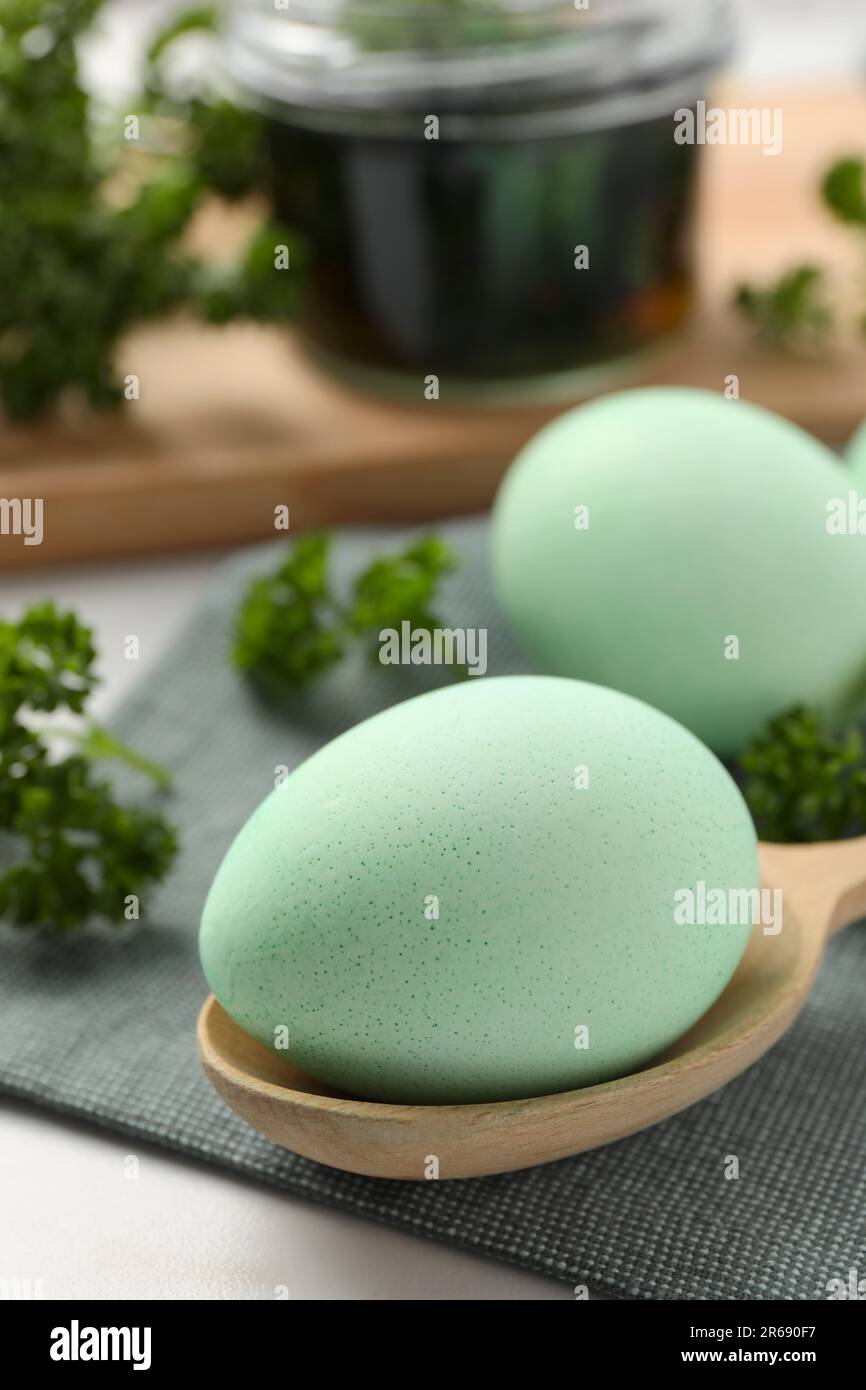 Turquoise Easter eggs painted with natural dye and curly parsley on ...