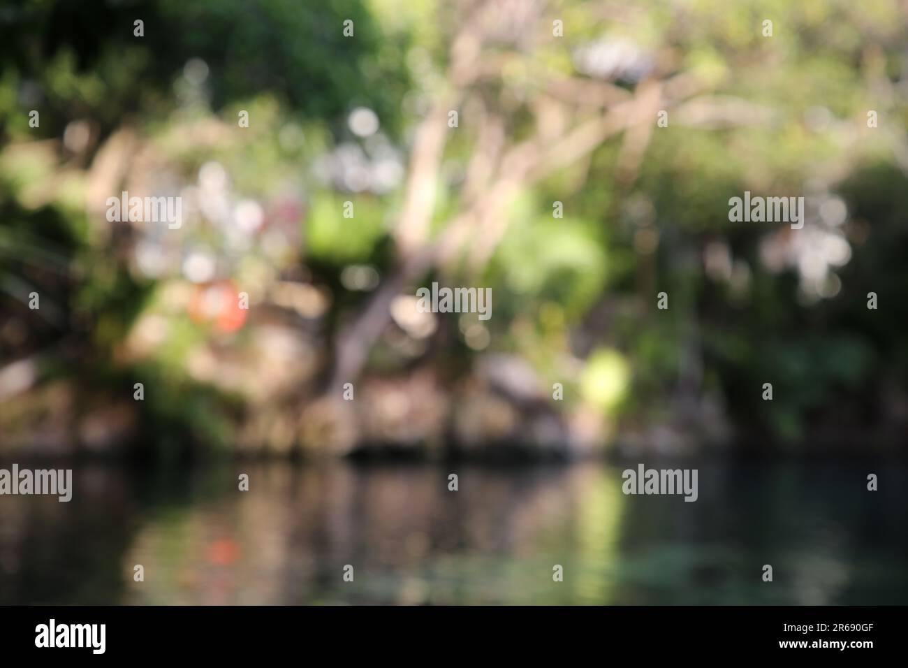 Blurred view of beautiful lake in jungle Stock Photo - Alamy