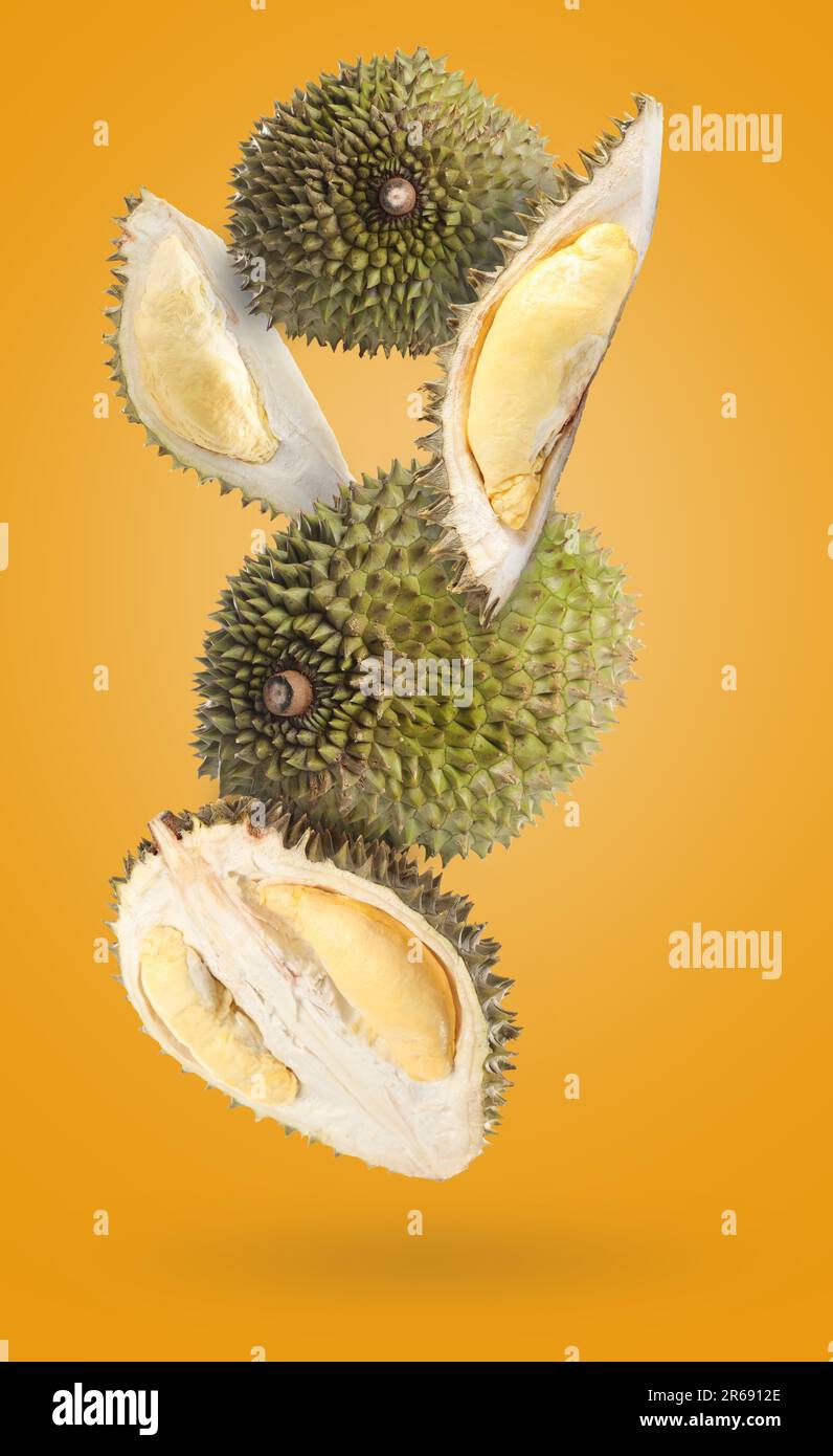 Fresh ripe durians falling on orange background Stock Photo - Alamy