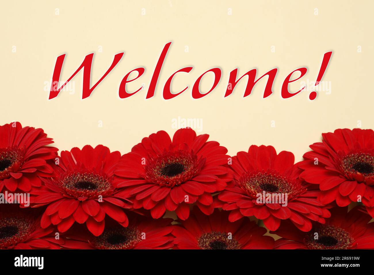 Welcome card. Beautiful red gerbera flowers and word on beige ...