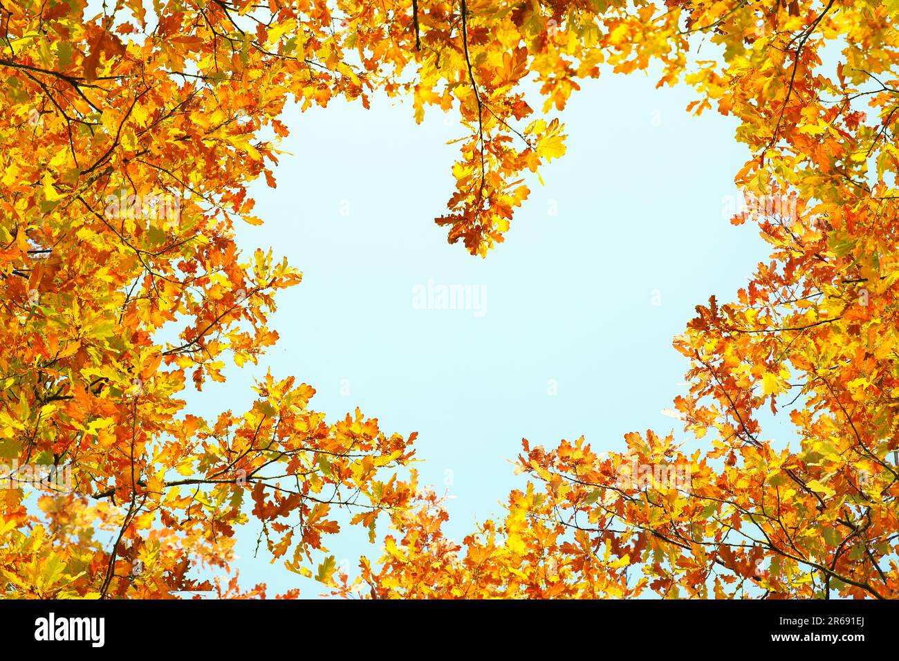Sky visible through heart shaped gap formed of autumn trees crowns ...
