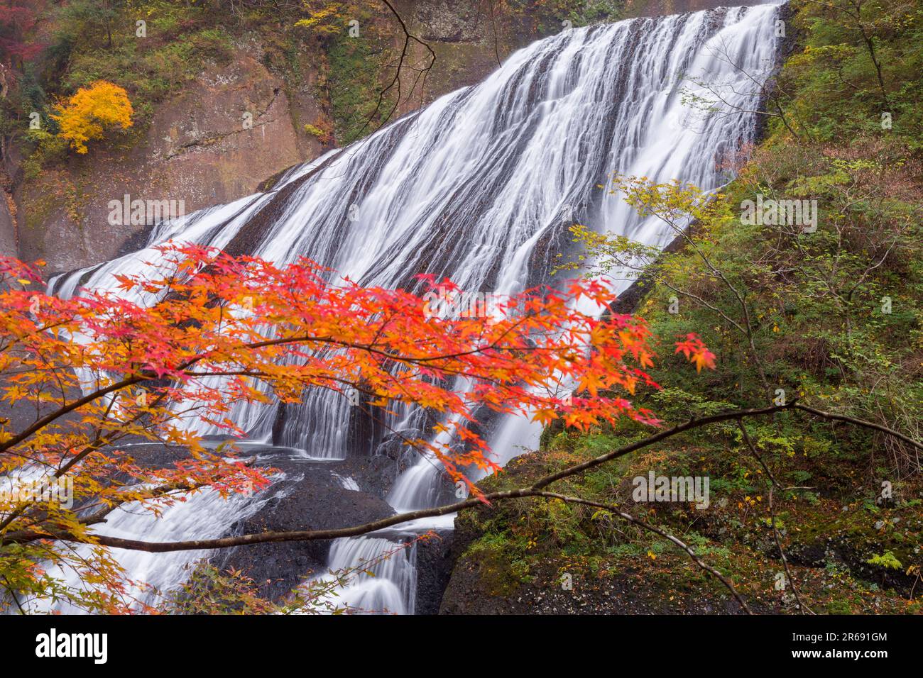 Slow autumn color hi-res stock photography and images - Alamy