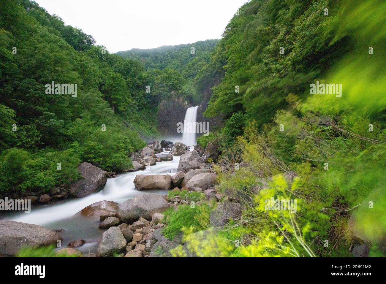 Fresh green Naena Falls Stock Photo - Alamy