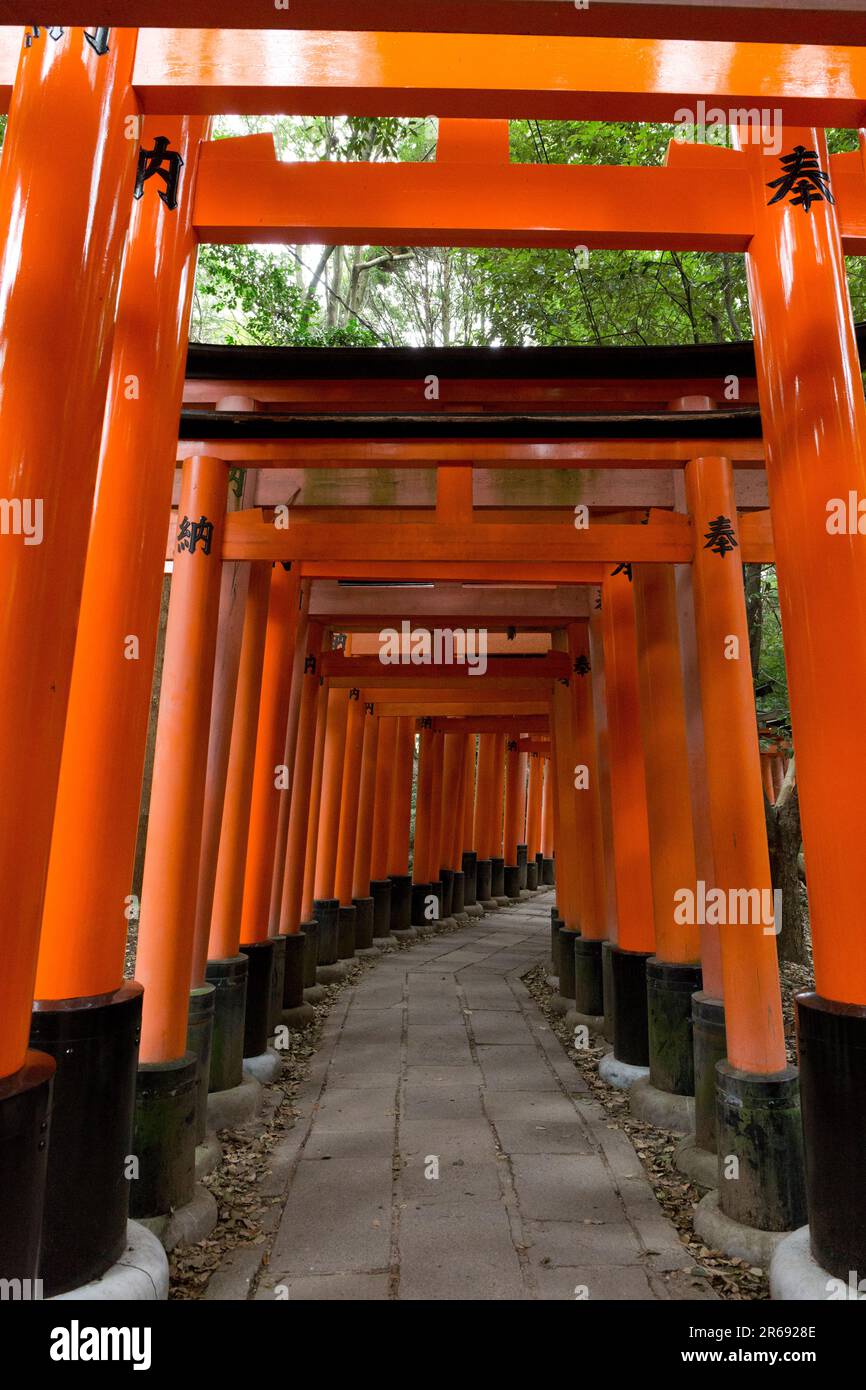 Thousand Torii corridor of Fushimi Inari-Taisha Stock Photo - Alamy
