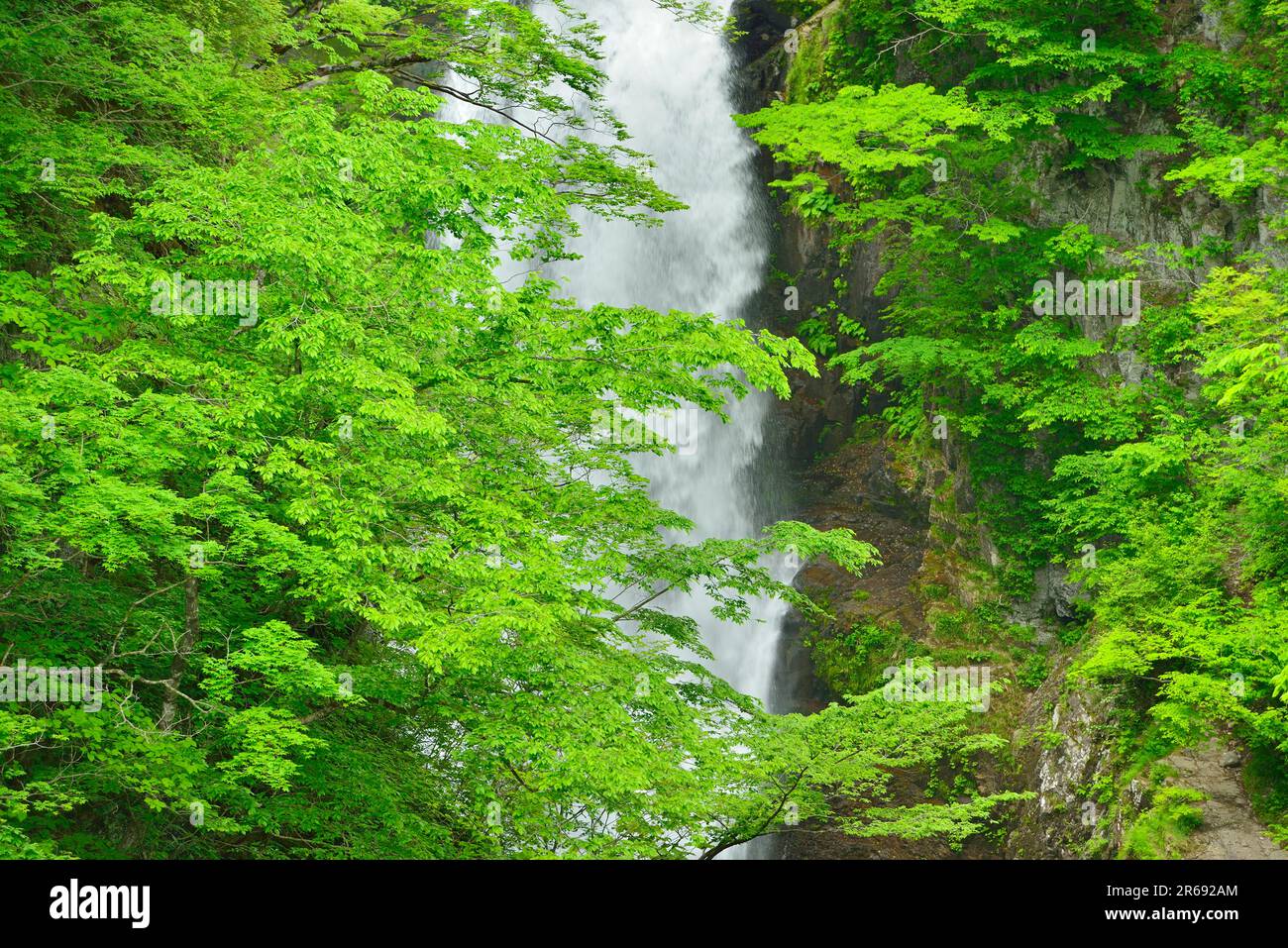 Akiu falls hi-res stock photography and images - Alamy