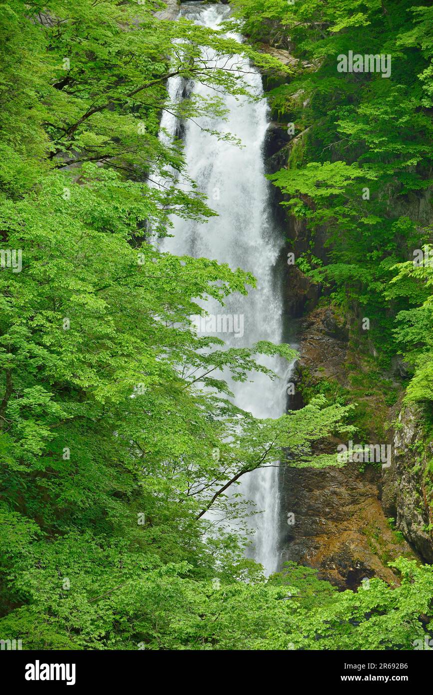Akiu falls hi-res stock photography and images - Alamy