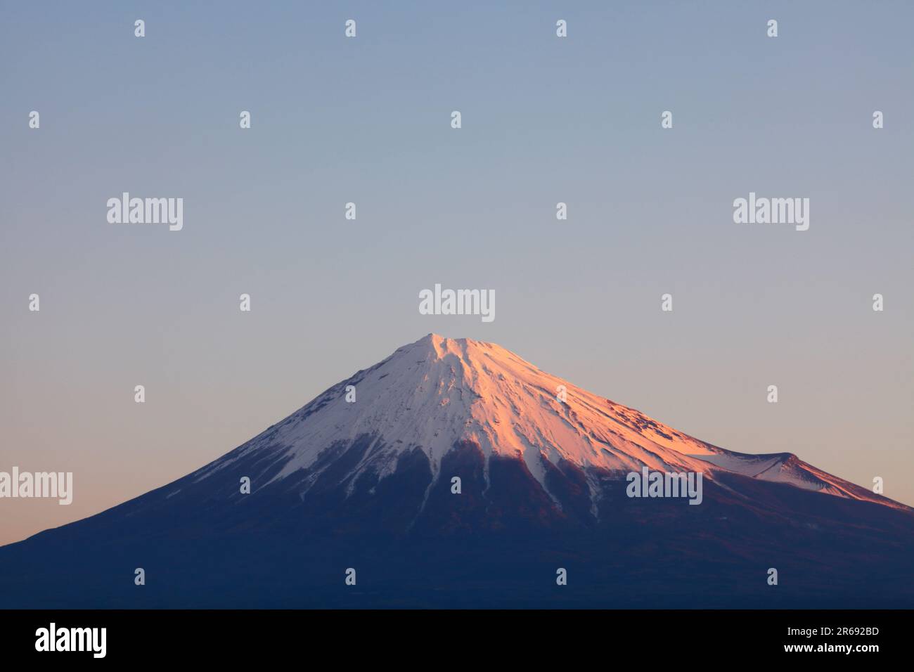 Red fuji hi-res stock photography and images - Alamy