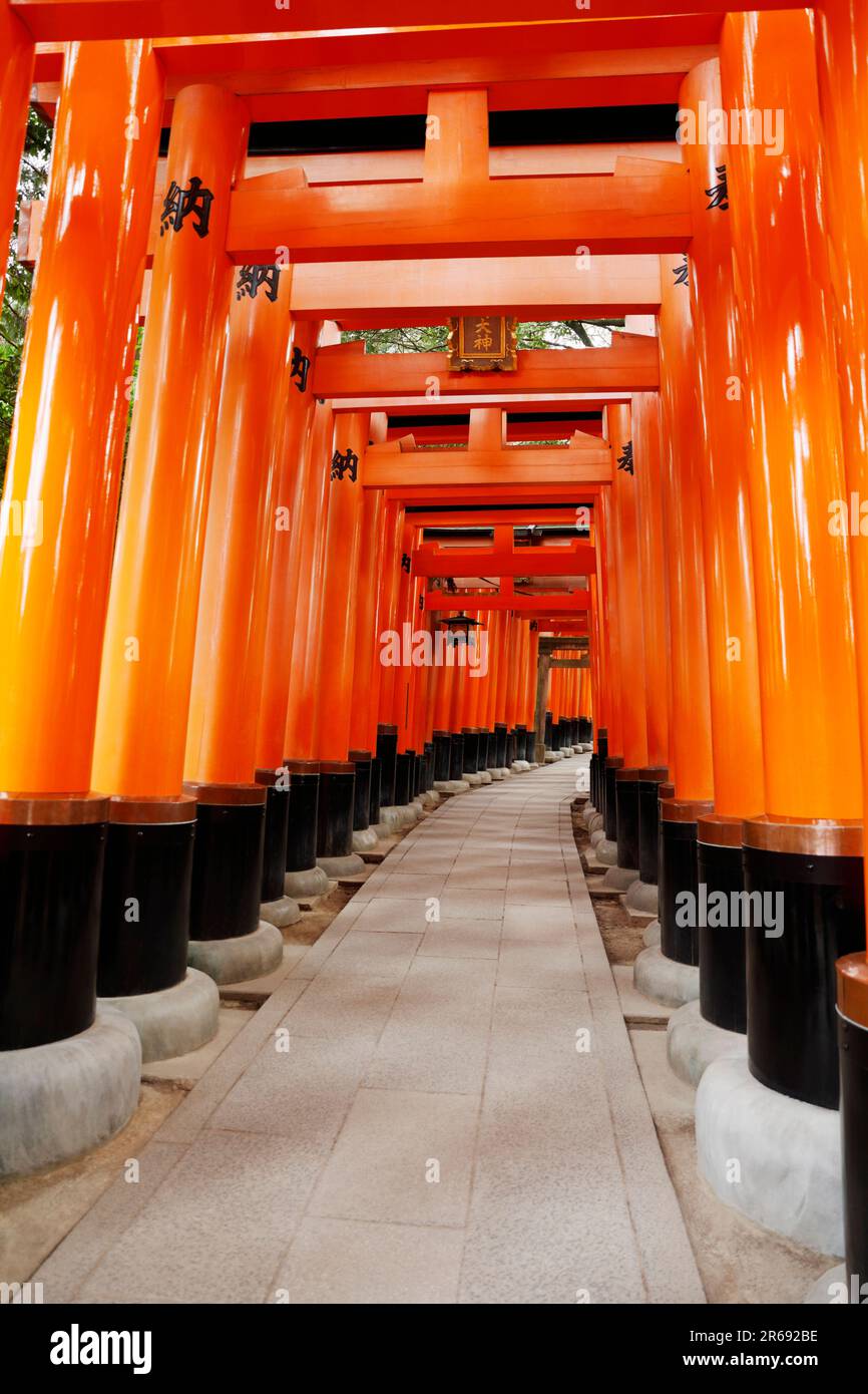 Thousand Torii corridor of Fushimi Inari-Taisha Stock Photo - Alamy