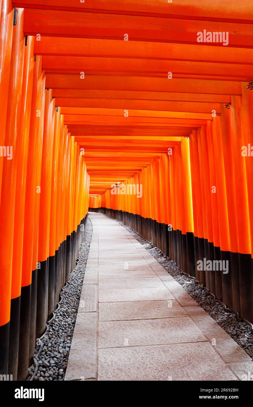 Thousand Torii corridor of Fushimi Inari-Taisha Stock Photo - Alamy