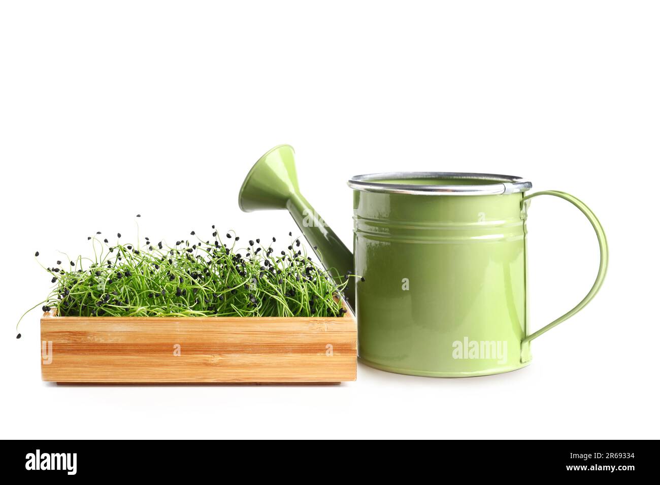 Wooden box with fresh micro green and watering can on white background ...