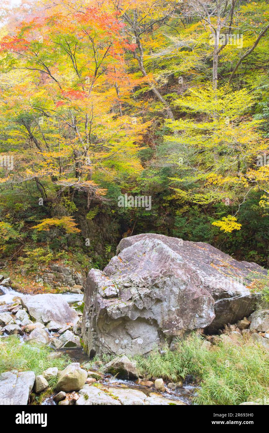 Sandankyo in Autumn Stock Photo - Alamy