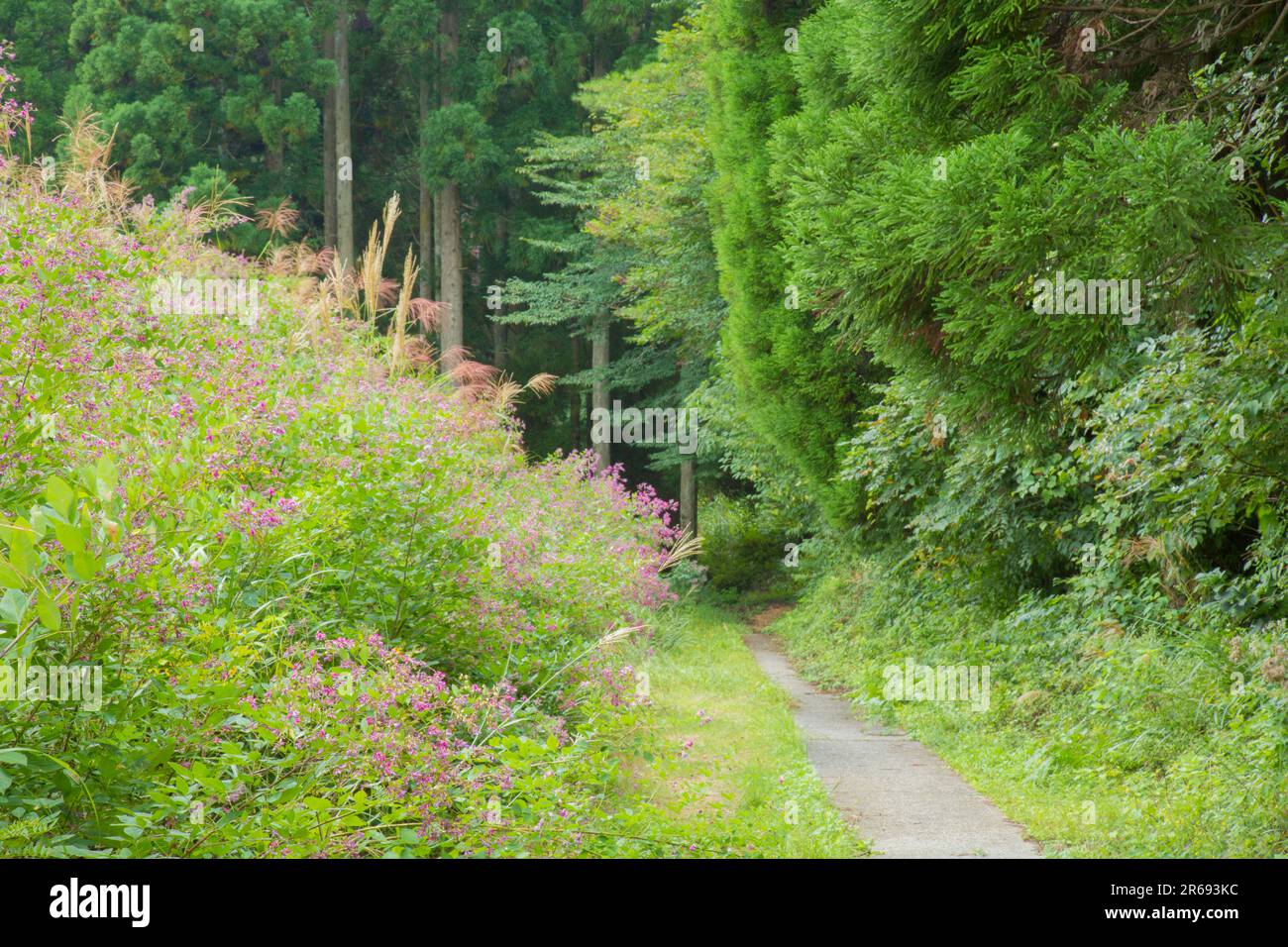 Sandankyo in spring Stock Photo - Alamy
