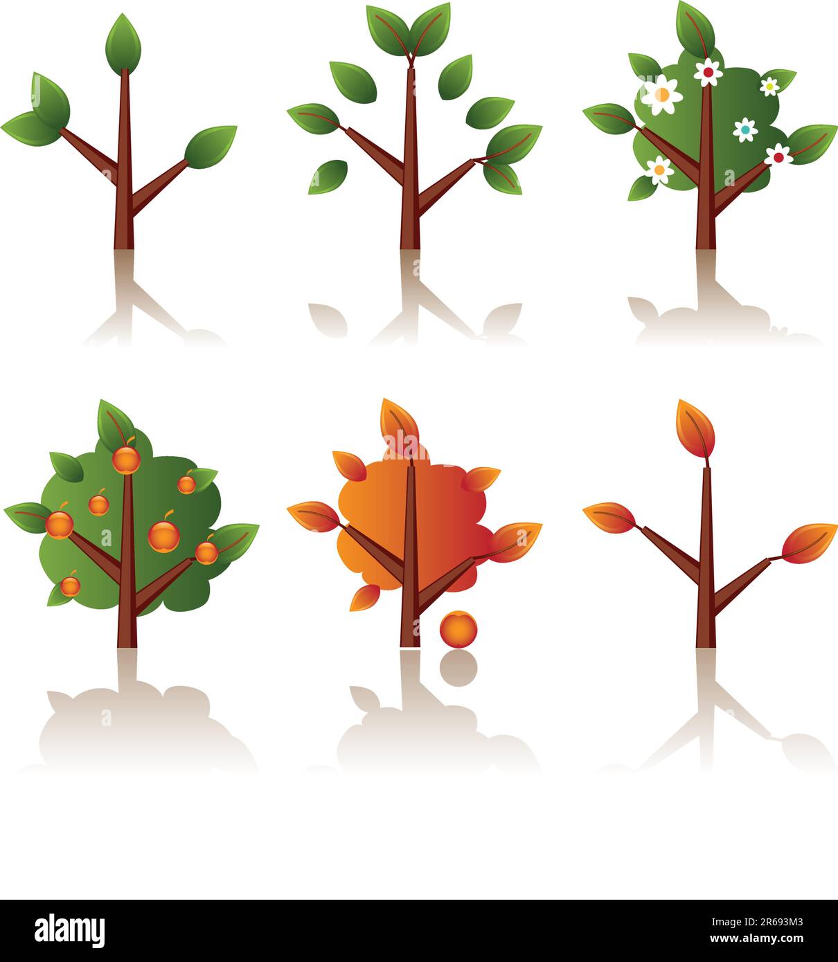 Set of icons tree, seasons Stock Vector Image & Art - Alamy