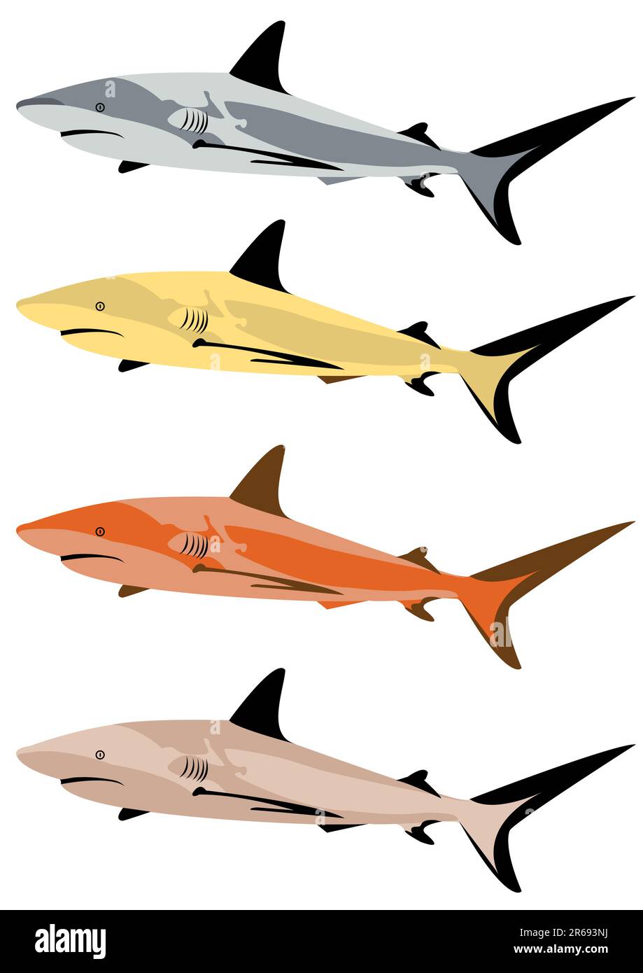 Vector illustration of a shark in four different colors Stock Vector ...