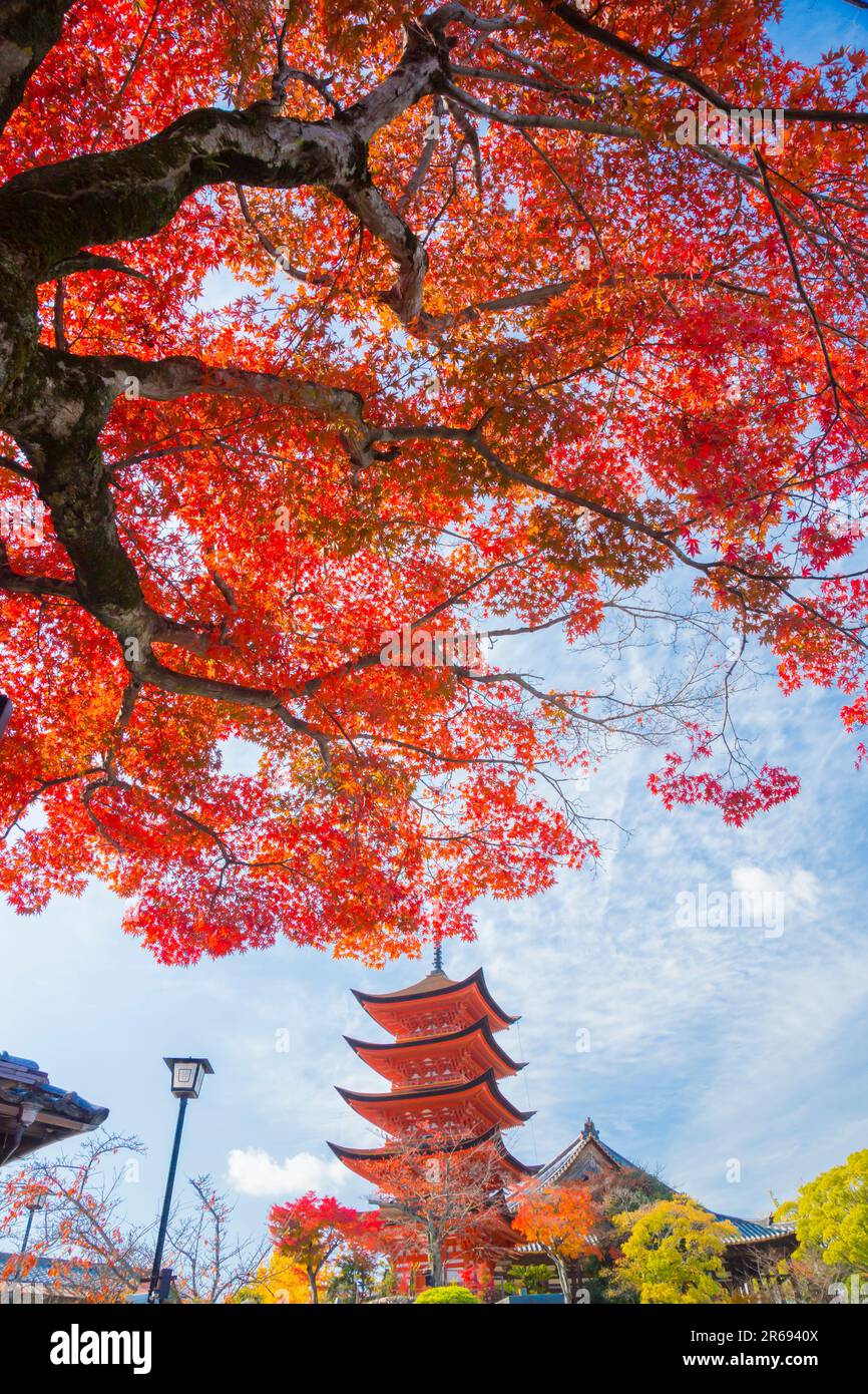 Pagoda color hi-res stock photography and images - Alamy