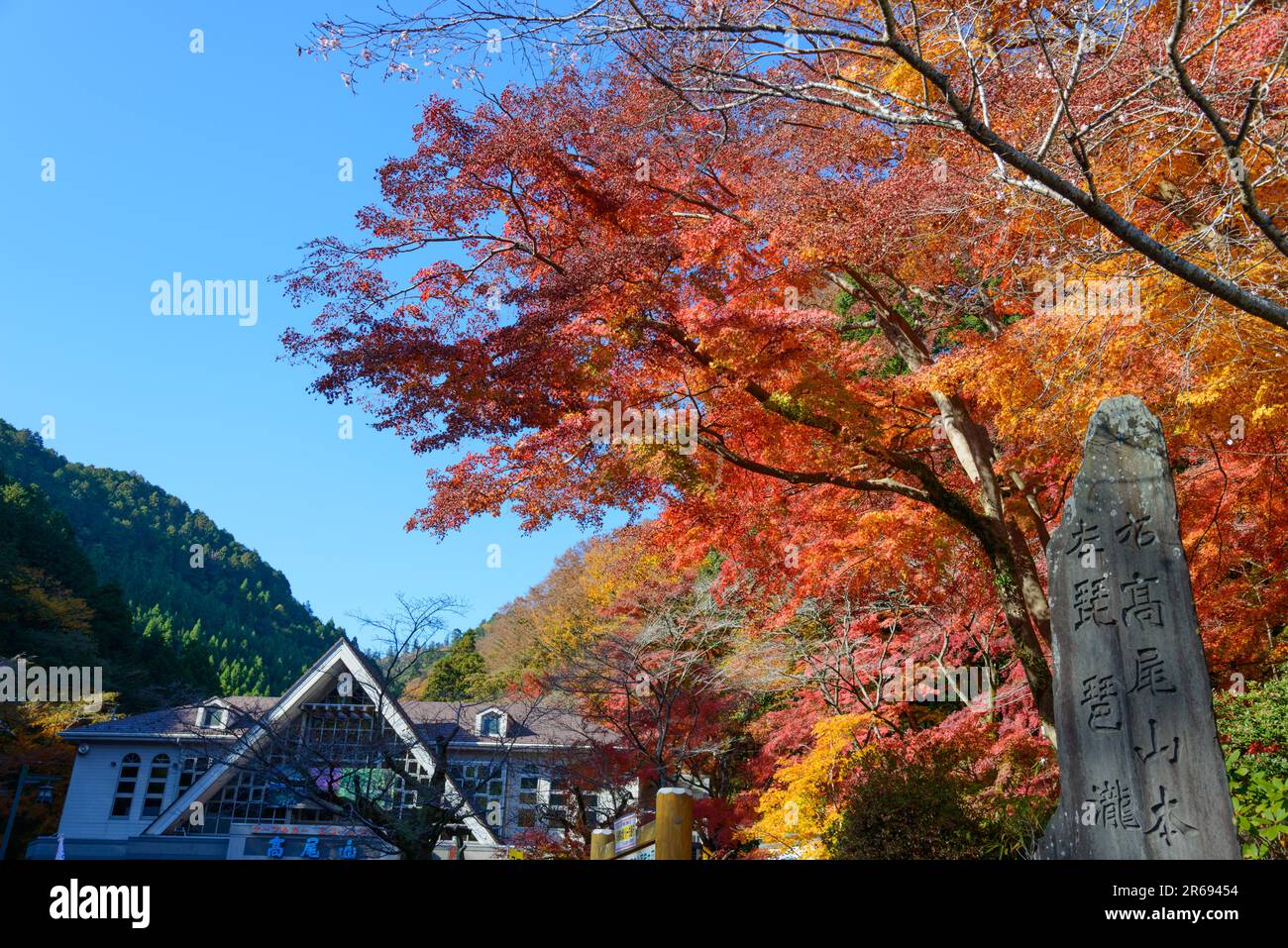Autumn colors of Mt. Takao Stock Photo - Alamy