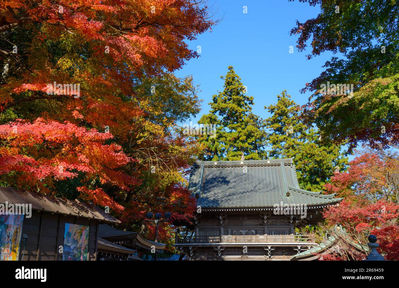 Autumn colors of Mt. Takao Stock Photo - Alamy