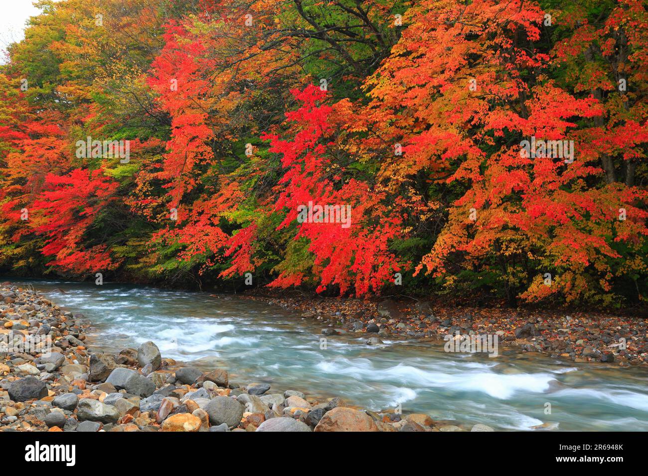 Matsukawa park hi-res stock photography and images - Alamy