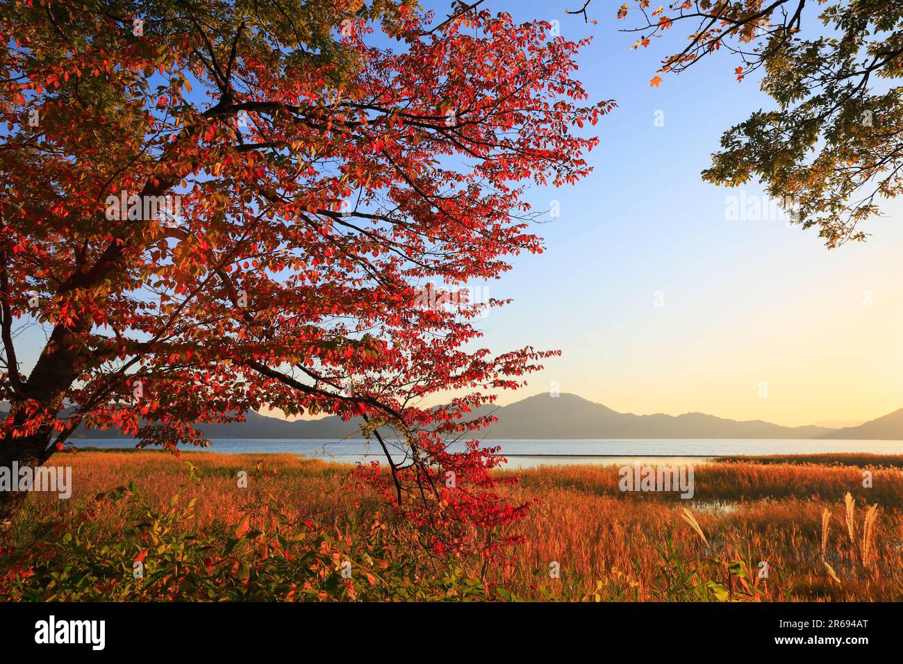 Autumn Leaves and Sunset at Lake Tazawa Stock Photo - Alamy