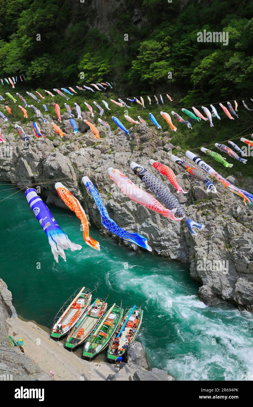 Oboke Gorge and carp streamers Stock Photo - Alamy