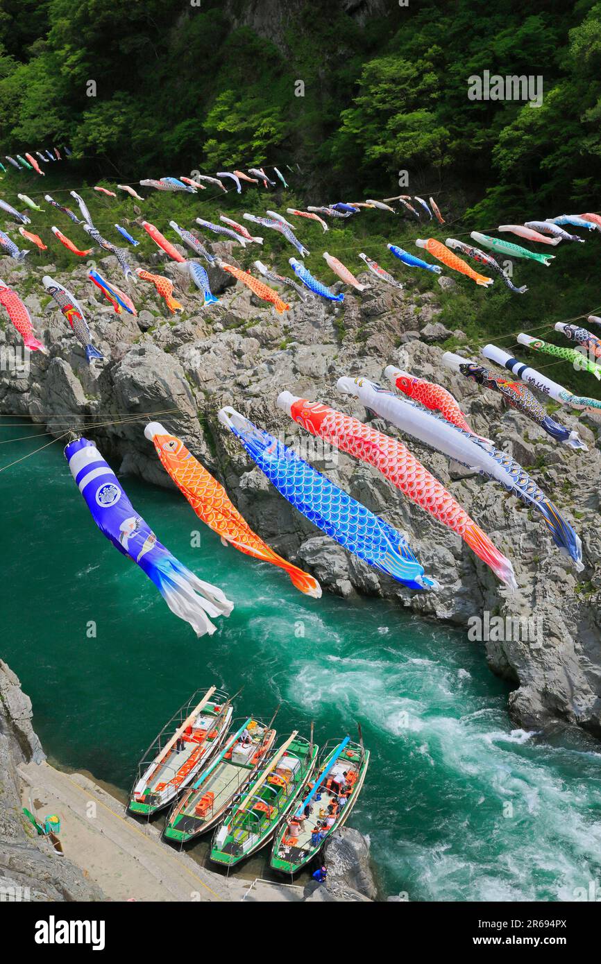 Carp streamers and river hi-res stock photography and images - Alamy