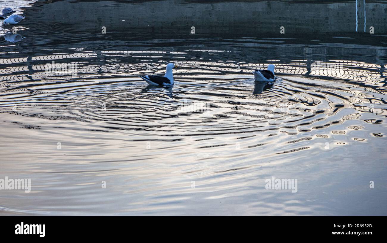 Water making patterns hi-res stock photography and images - Alamy