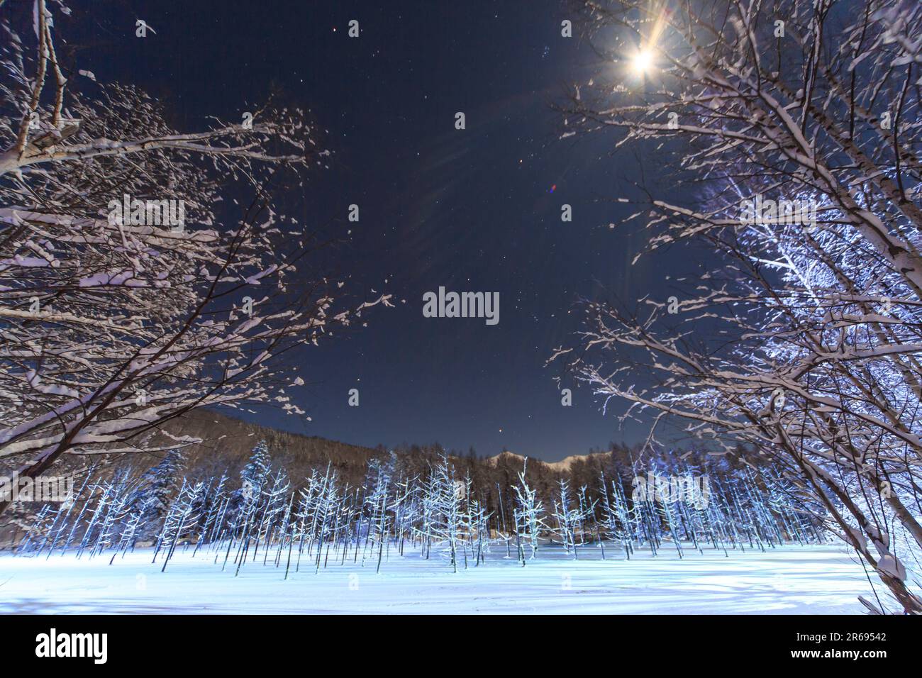 Moonlit nature hi-res stock photography and images - Alamy