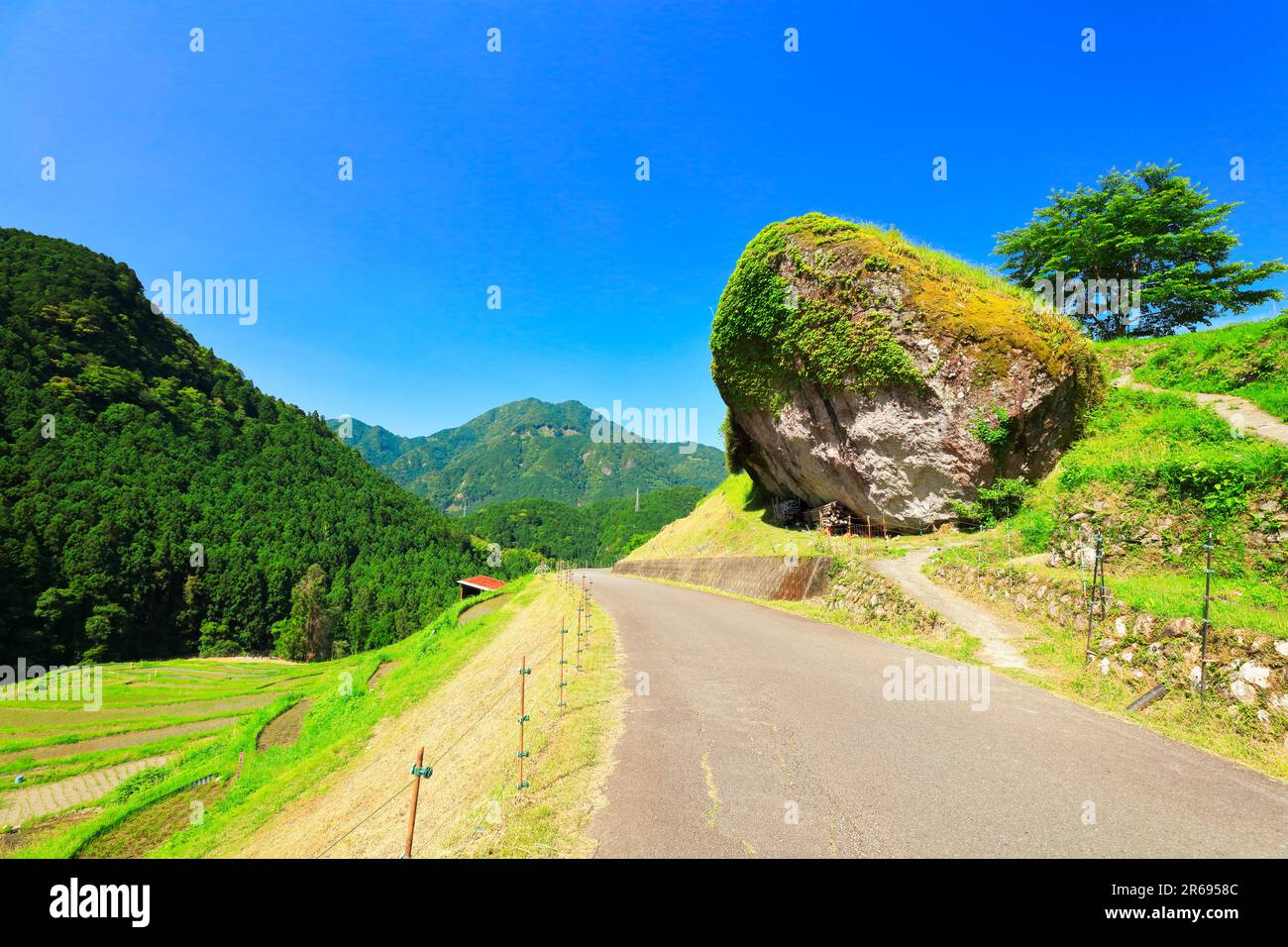 Maruyama district hi-res stock photography and images - Alamy