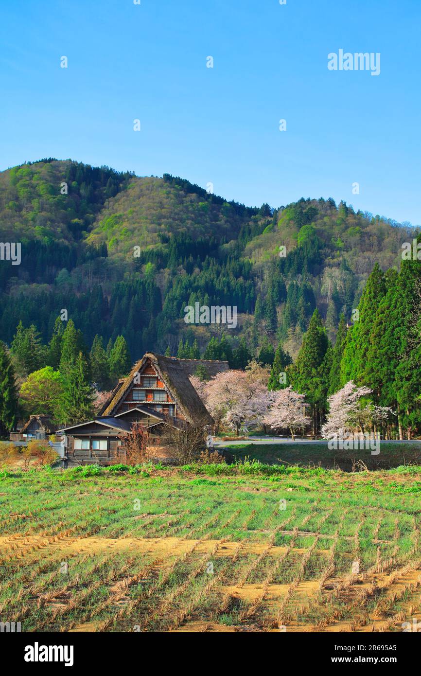 Shirakawa go japan april hi-res stock photography and images - Alamy