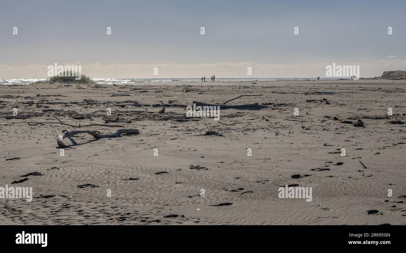 Waikanae Beach from the Estuary Stock Photo - Alamy