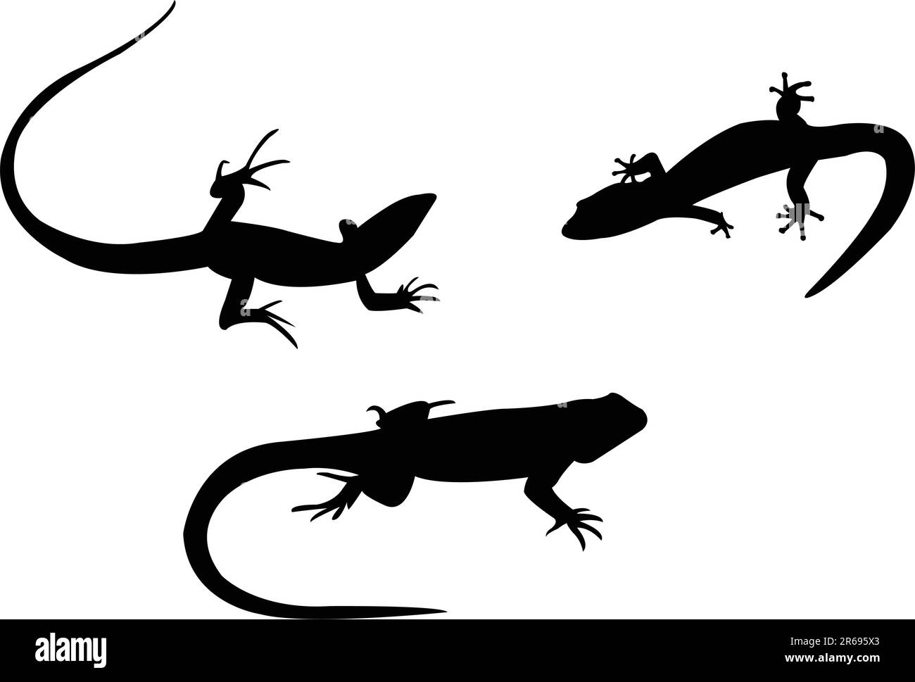 lizards silhouettes - vector Stock Vector Image & Art - Alamy