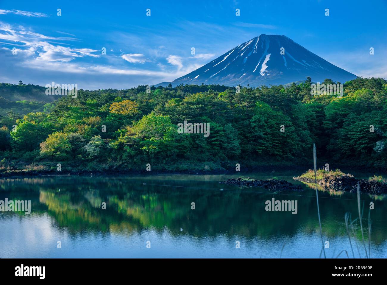 Lake Shoji-Ko and Mt. Fuji Stock Photo - Alamy