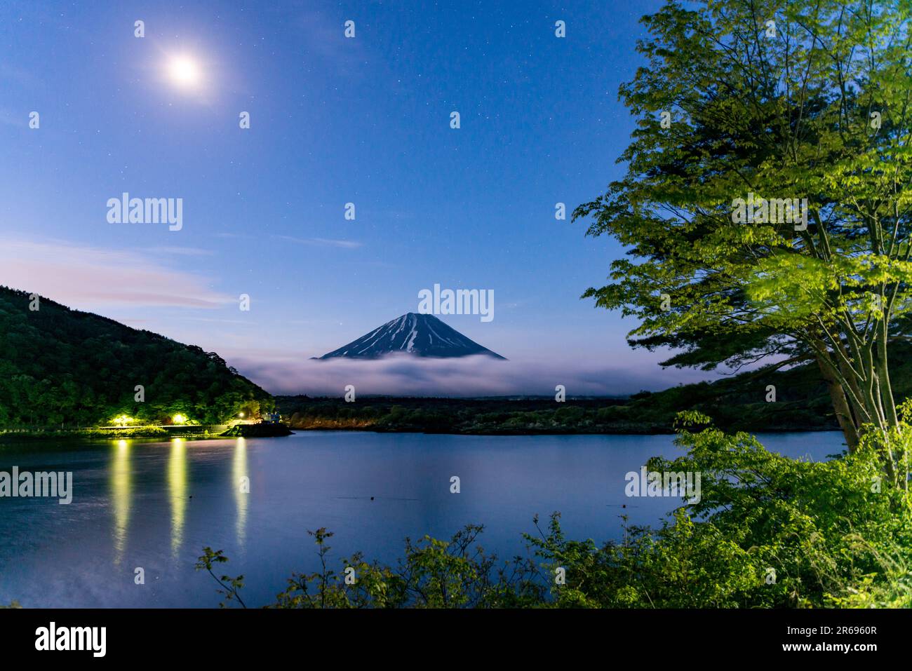 Lake Shoji-Ko and Mt. Fuji Stock Photo - Alamy