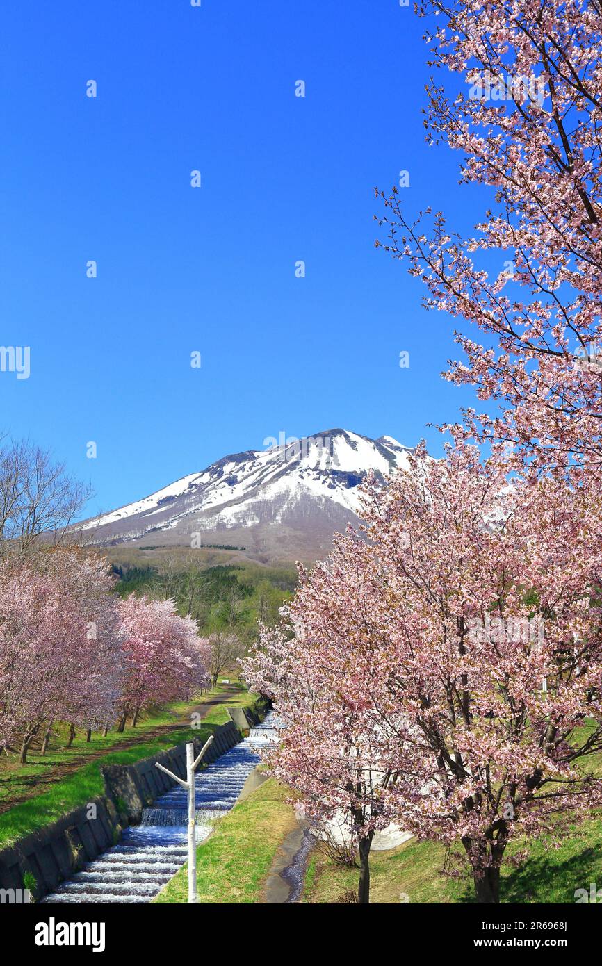 Tsugaru fuji hi-res stock photography and images - Alamy