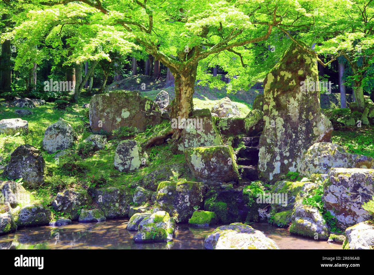Ichijodani Asakura Clans Ruins in fresh green Stock Photo - Alamy
